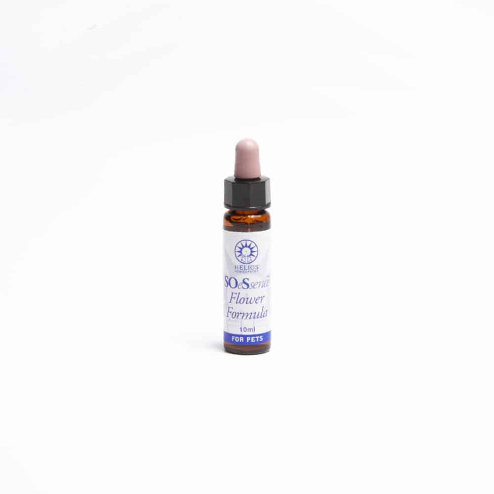 Helios Basic 36 Remedy / 30C Homeopathy Kit - Miranda Castro's Shop